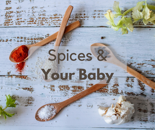 6 Spices that Benefit your Baby - Amara Organic Foods