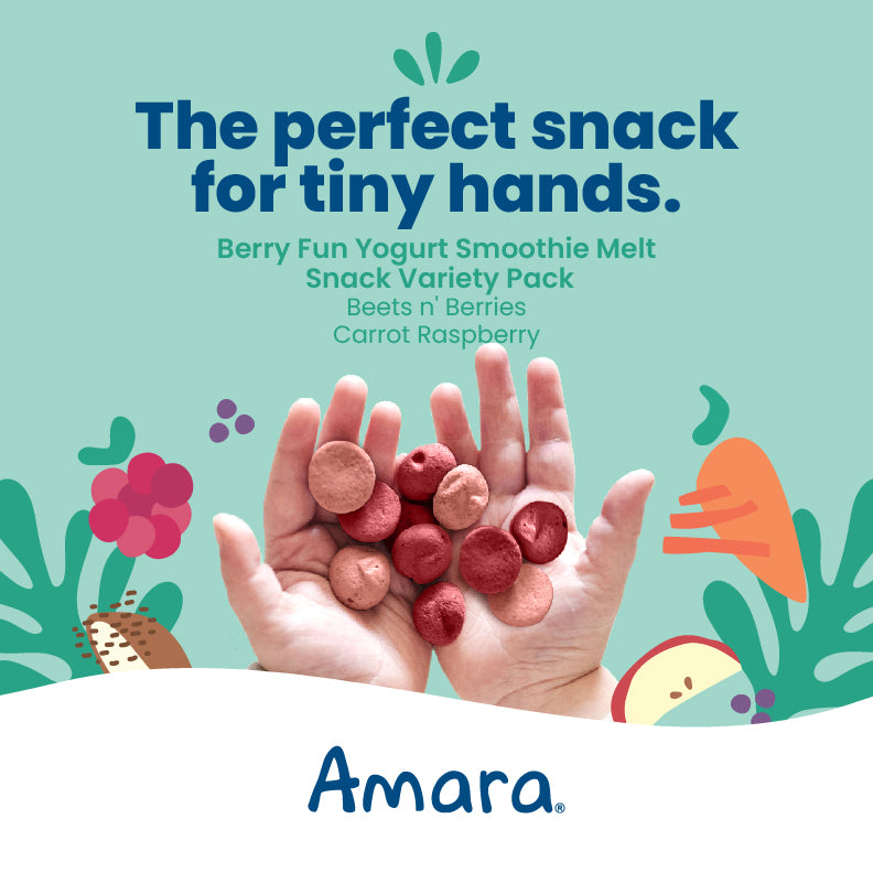 Berry Fun Smoothie Melt Snack Variety Pack - Amara Organic Foods